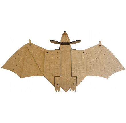 Bat Kit